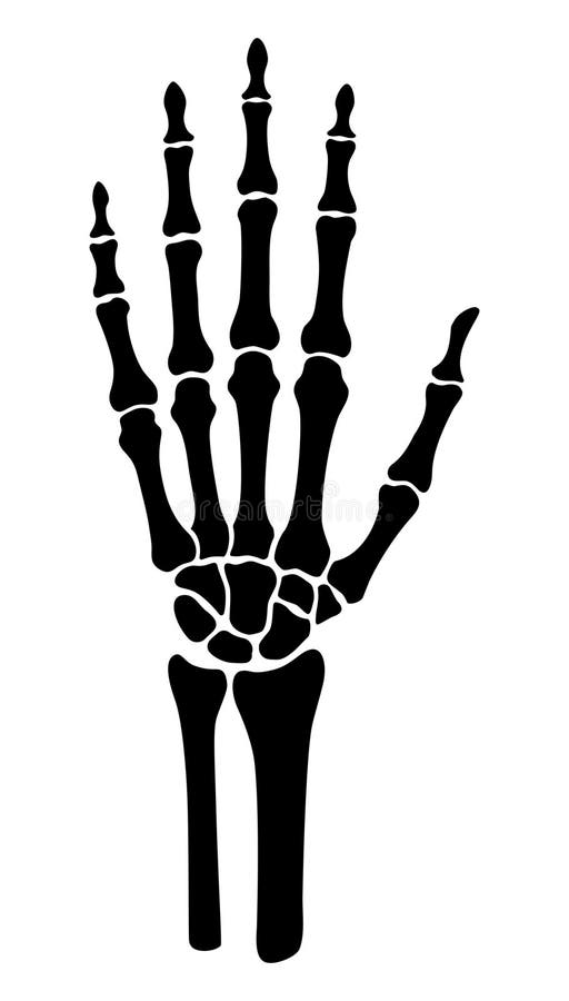 Skeleton Bone Hand Illustrations Stock Vector - Illustration of death ...