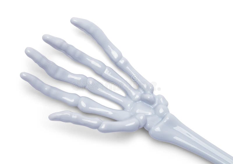 Skeleton Bone Hand stock photo. Image of single, bone - 130813456