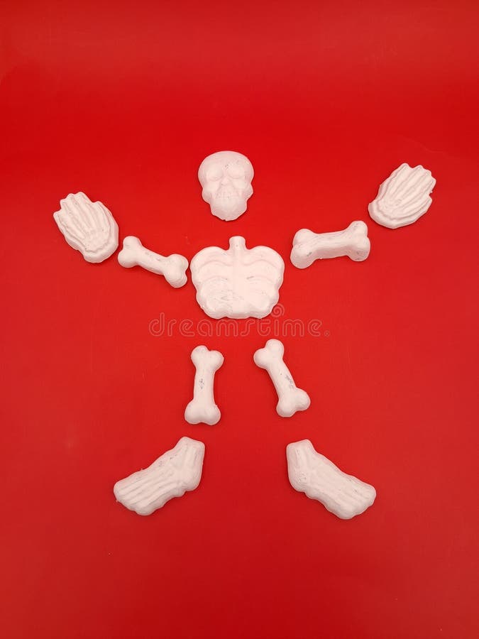 Skeleton Bones on a Red Background Stock Photo - Image of pieces ...