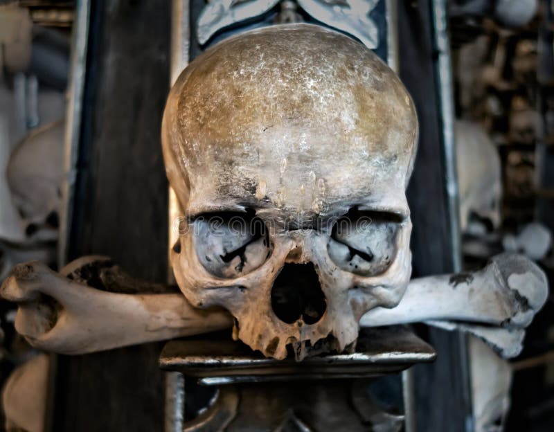 Skeleton Bones and Skull Interior Decorated Wall Background Stock Image ...