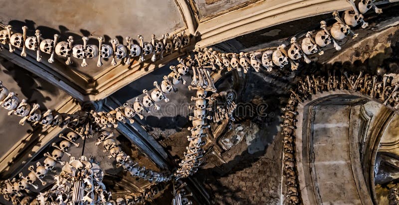 Skeleton Bones and Skull Interior Decorated Wall Hell Soft Focus ...