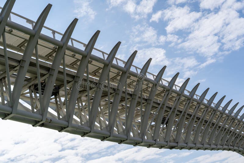 Skeleton Bridge Venice Close Up Photography, Arichtecture Photography ...