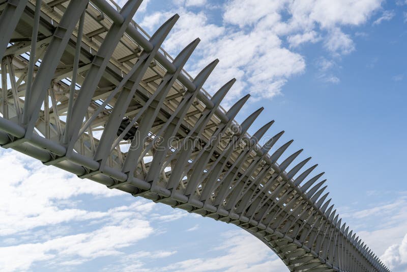 Skeleton Bridge Venice Close Up Photography, Arichtecture Photography ...