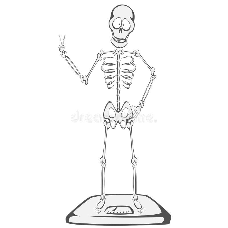 Nutrition Skeleton Stock Illustrations – 2,522 Nutrition Skeleton Stock ...