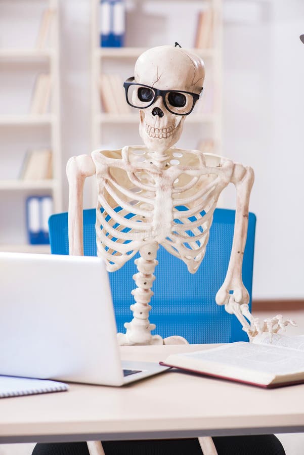 The Skeleton Businessman Working in the Office Stock Image - Image of ...