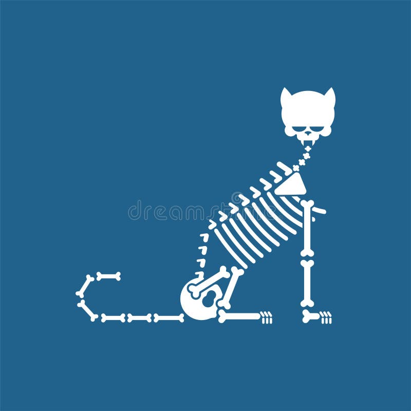 Skeleton Cat Isolated. Cat Skull and Bones Stock Vector - Illustration ...