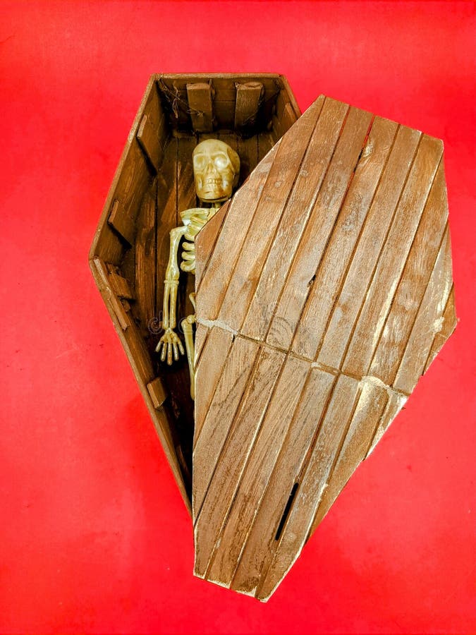 Skeleton in a coffin stock image. Image of party, crafts - 340135567