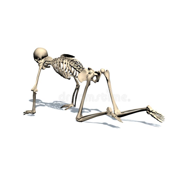 Skeleton Crawls Stock Illustrations – 14 Skeleton Crawls Stock ...