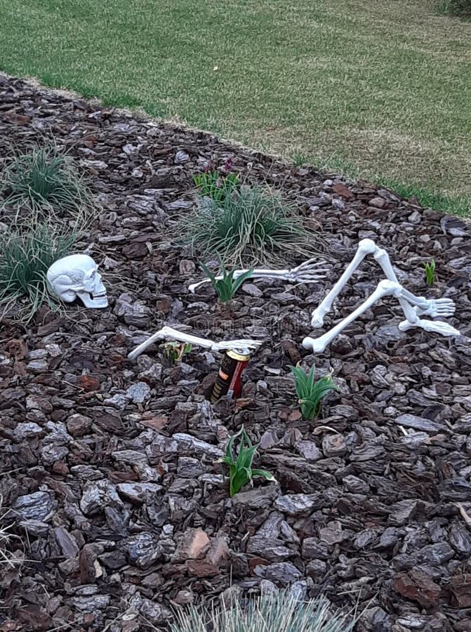 Skeleton Created by Addiction, Metaphor Stock Photo - Image of ...