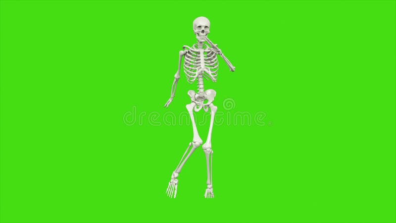 Skeleton Dancing. Seamless Loop Animation on Green Screen. Stock ...