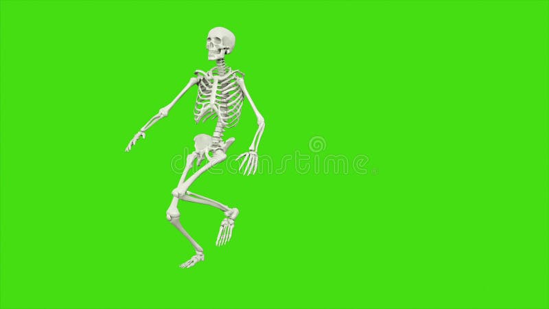Skeleton Dancing. Seamless Loop Animation on Green Screen. Stock ...
