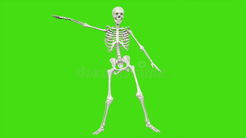 Skeleton Dancing. Seamless Loop Animation on Green Screen. Stock ...