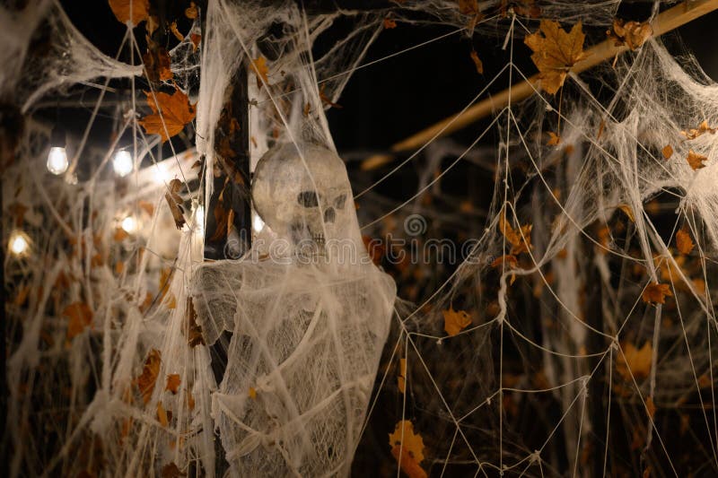 Skeleton Decoration for Halloween Wrapped in Spider Web and a Tissue ...