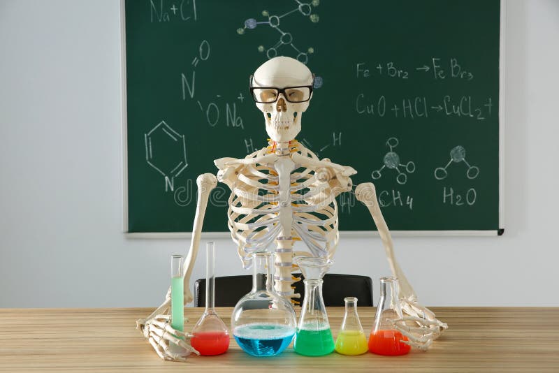 Skeleton and Different Chemistry Glassware in Classroom Stock Image ...