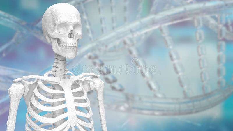 The Skeleton on Dna Background for Medical or Sci Concept 3d Rendering ...