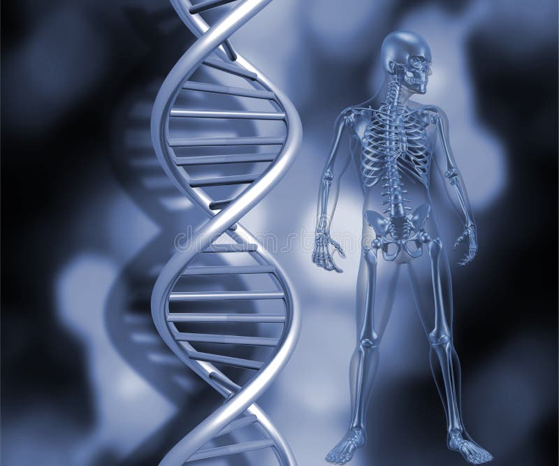 DNA strands stock illustration. Illustration of abstract - 12142645
