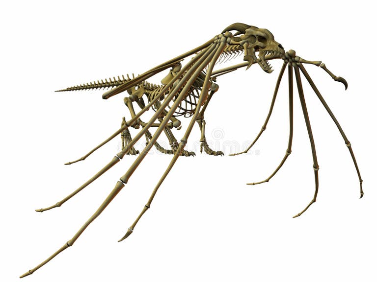 Skeleton Dragon Stock Illustrations – 957 Skeleton Dragon Stock ...