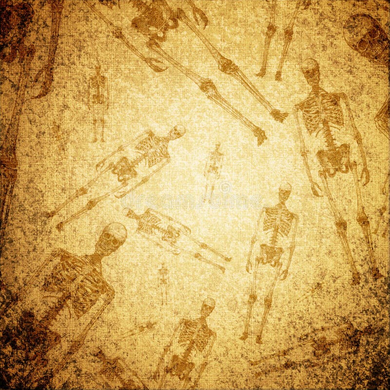 Skeleton stock illustration. Illustration of backbone - 30850010