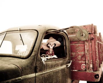 Skeleton driving stock photo. Image of anatomical, driving - 21585466