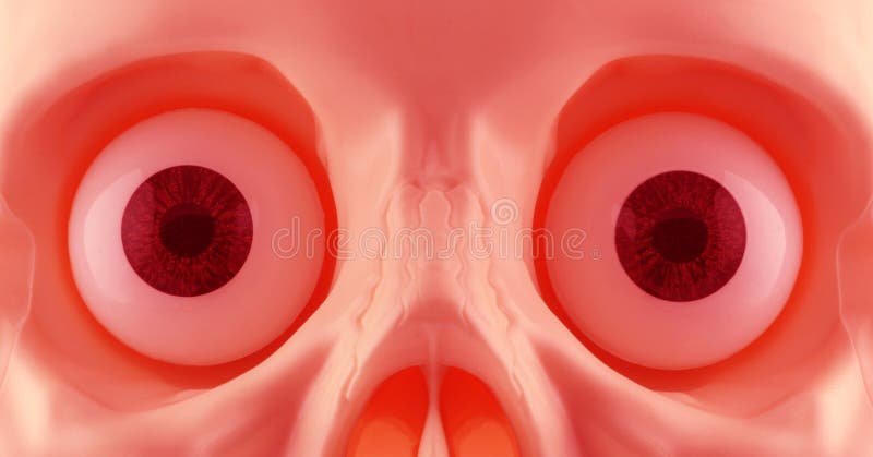 Skeleton with Eyes stock photo. Image of parts, part - 28521142