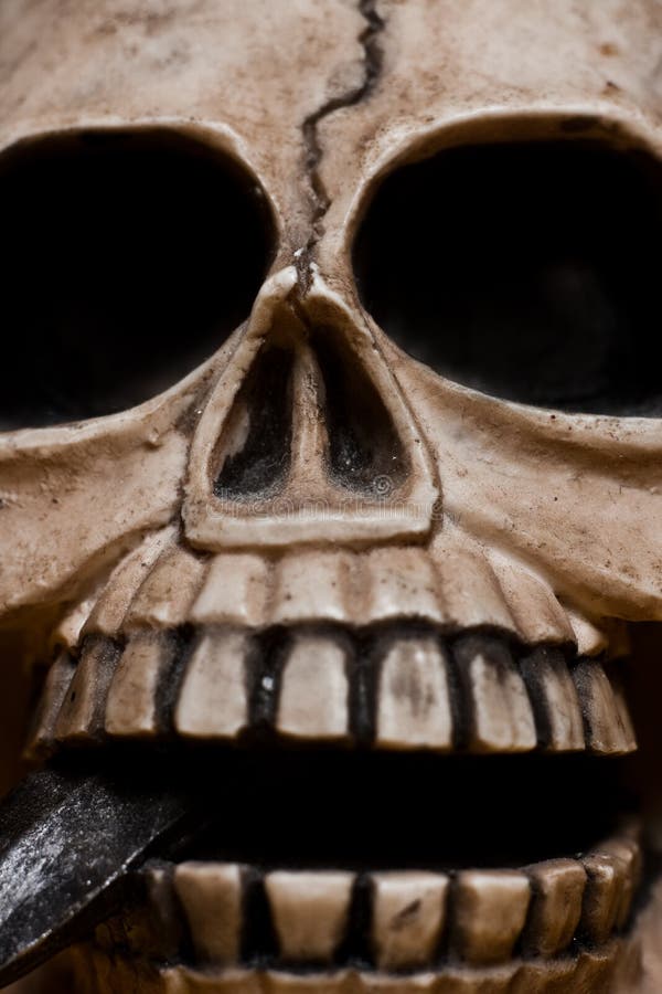 Skeleton face stock image. Image of halloween, danger - 12954477