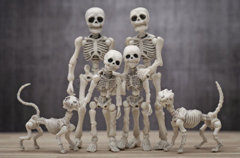 The Skeleton Family Portrait Stock Image - Image of father, family ...