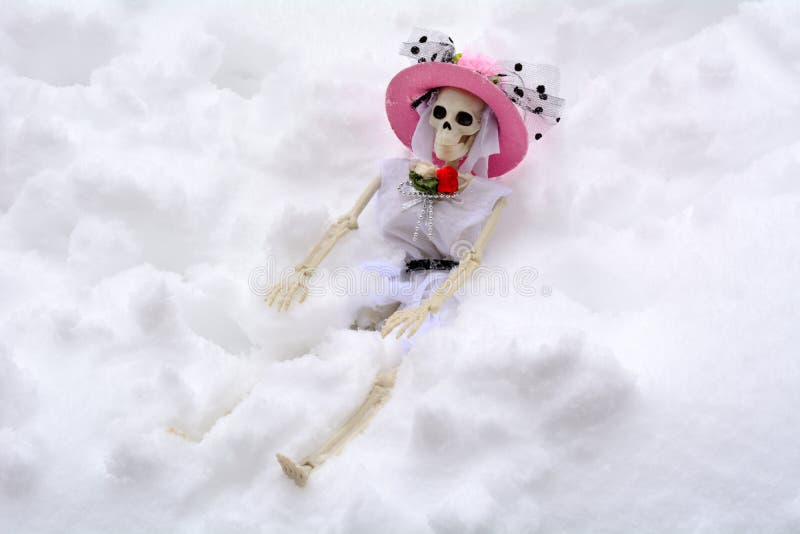 Skeleton in Fancy Pink Hat in Snow Storm Stock Photo - Image of humor ...