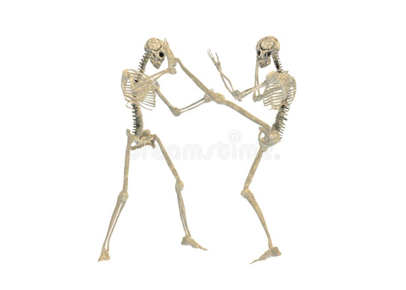 Skeleton fighting stock illustration. Illustration of bones - 13169323