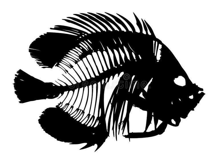 Skeleton of fish. stock vector. Illustration of fishery - 74640767