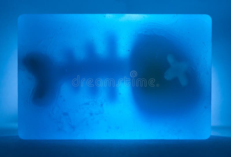 Skeleton of Fish in Blue Substance Stock Photo - Image of natural ...