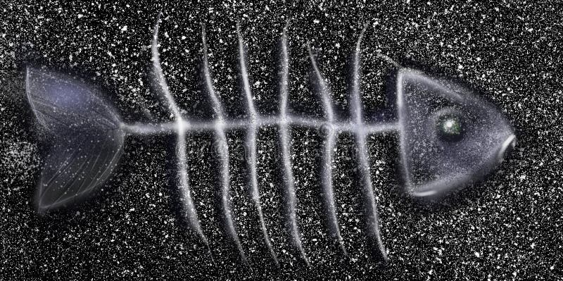 Skeleton fish stock photo. Image of bones, fishing, atmosphere - 58990534