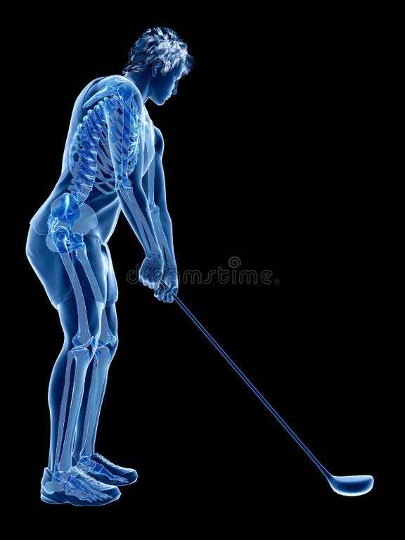 The Skeleton of a Golf Player Stock Illustration - Illustration of body ...