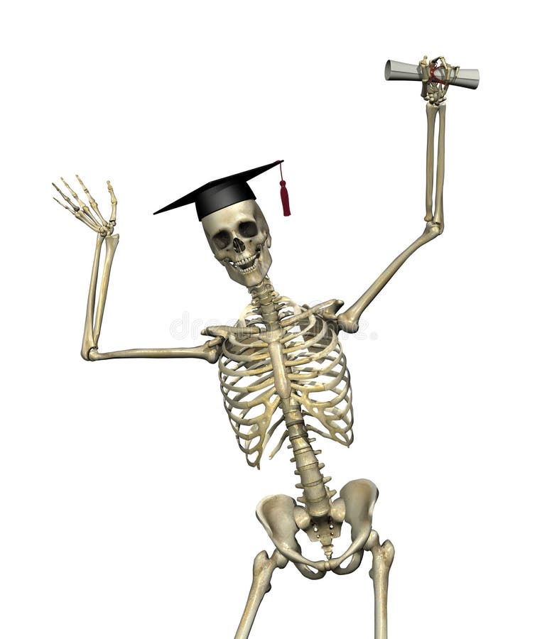Skeleton Graduate stock illustration. Illustration of college - 8231936