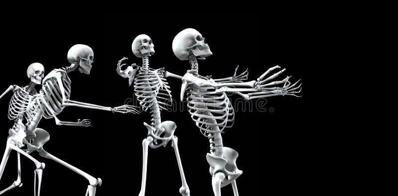 Female and Male Skeletons stock illustration. Illustration of backbone ...