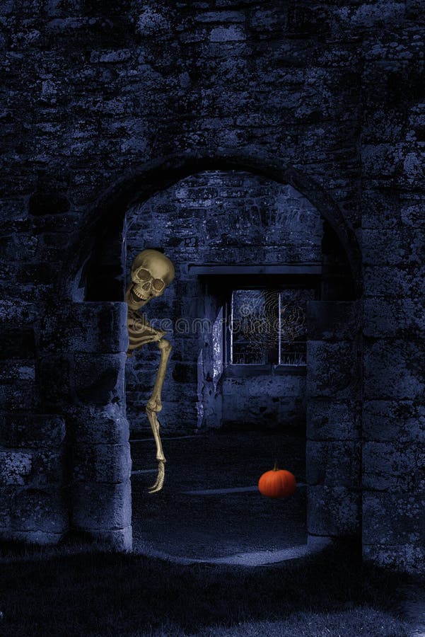 Skeleton stock photo. Image of grave, remains, victim - 34020600