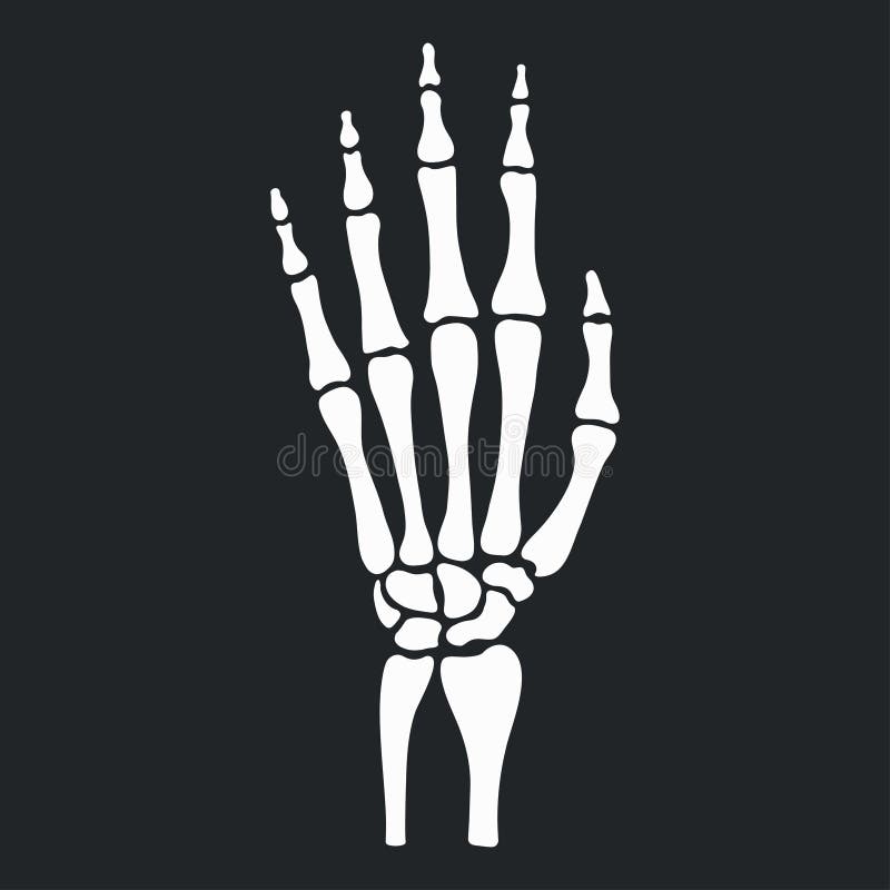 Skeleton Hand with Bones Icon. Vector. Stock Vector - Illustration of ...