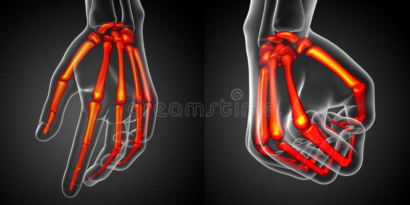 Skeleton hand stock illustration. Illustration of palm - 88898551