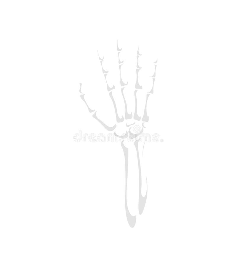 Skeleton Hand Gesture, Isolated Vector Open Palm Stock Vector ...