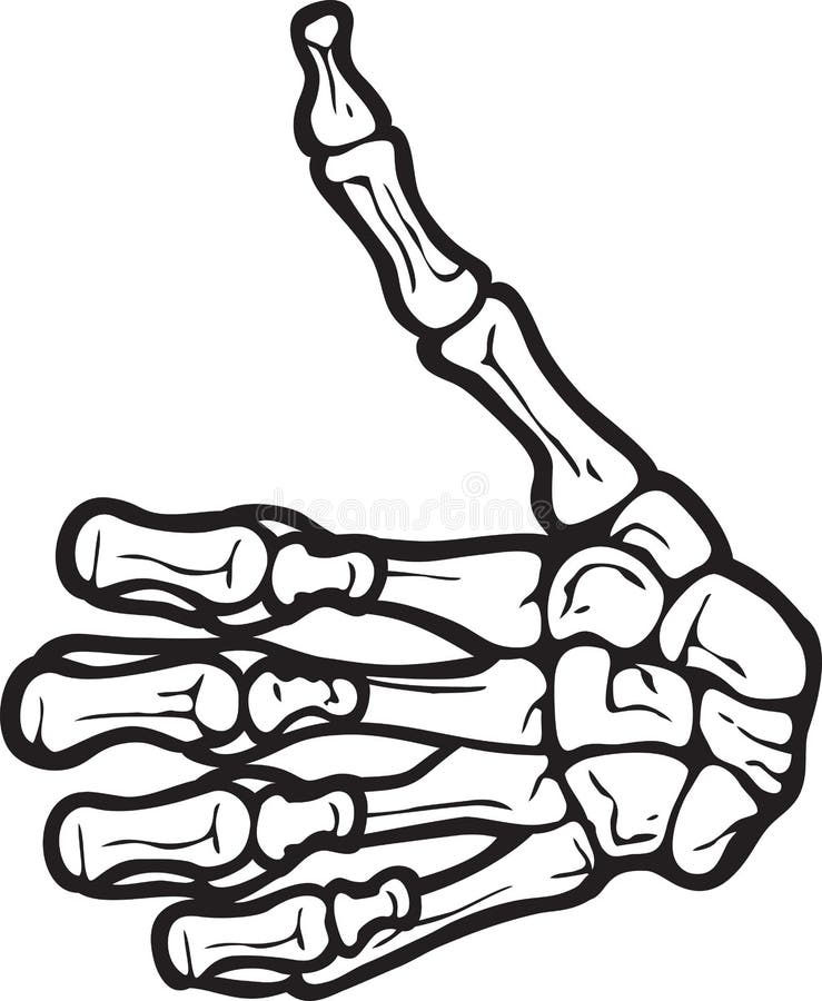Skeleton Hand Gesture Thumb Up. OK Gesture Stock Vector - Illustration ...
