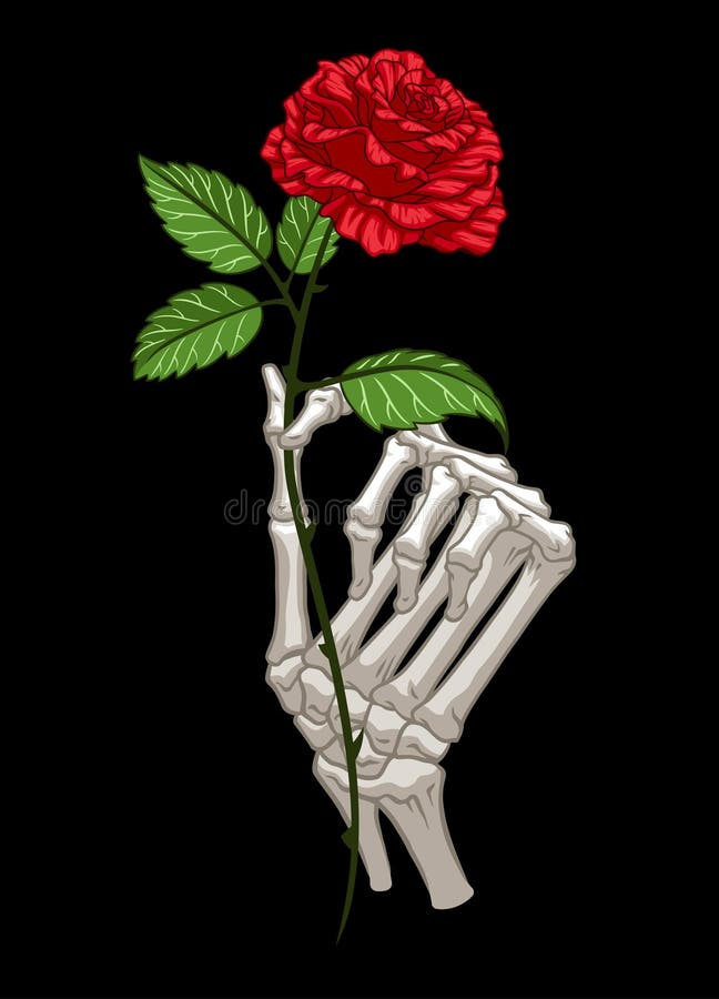 Skeleton Hand Holding a Red Rose in Black Background Stock Vector ...