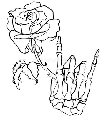 Skeleton Hand Holding a Rose in Calligraphic Style Stock Vector ...