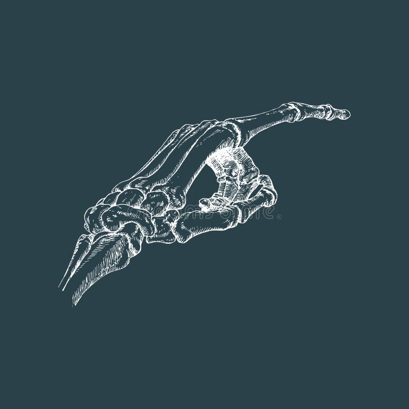 Skeleton Hand, Vector Sketch in Engraving Style. Stock Illustration ...