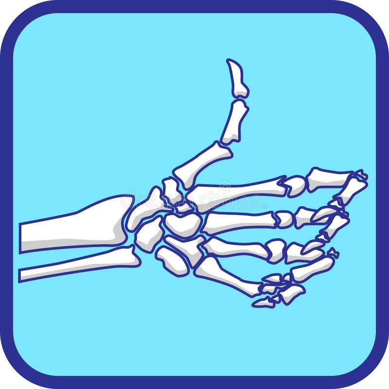 Skeleton hand like stock vector. Illustration of finger - 39089137