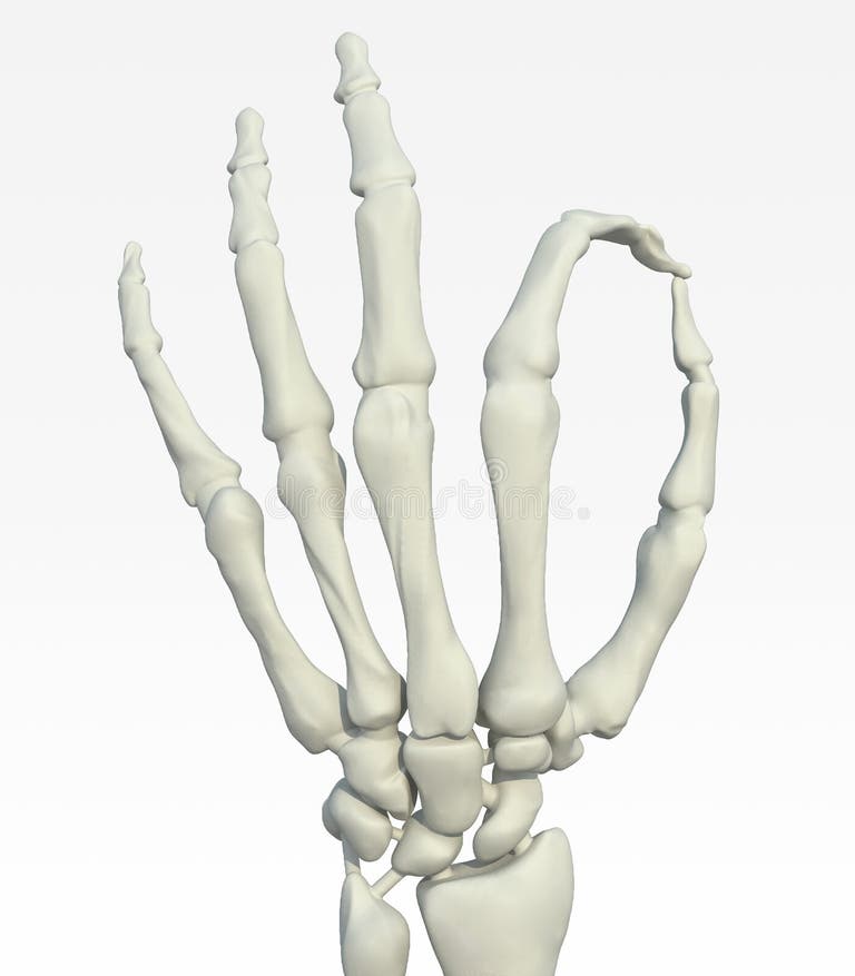 Skeleton Hand Gesture Stock Illustrations – 705 Skeleton Hand Gesture ...