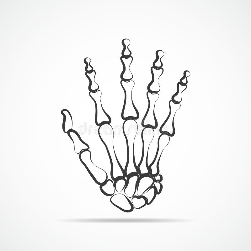 Skeleton Hand. Vector Illustration Stock Illustration - Illustration of ...