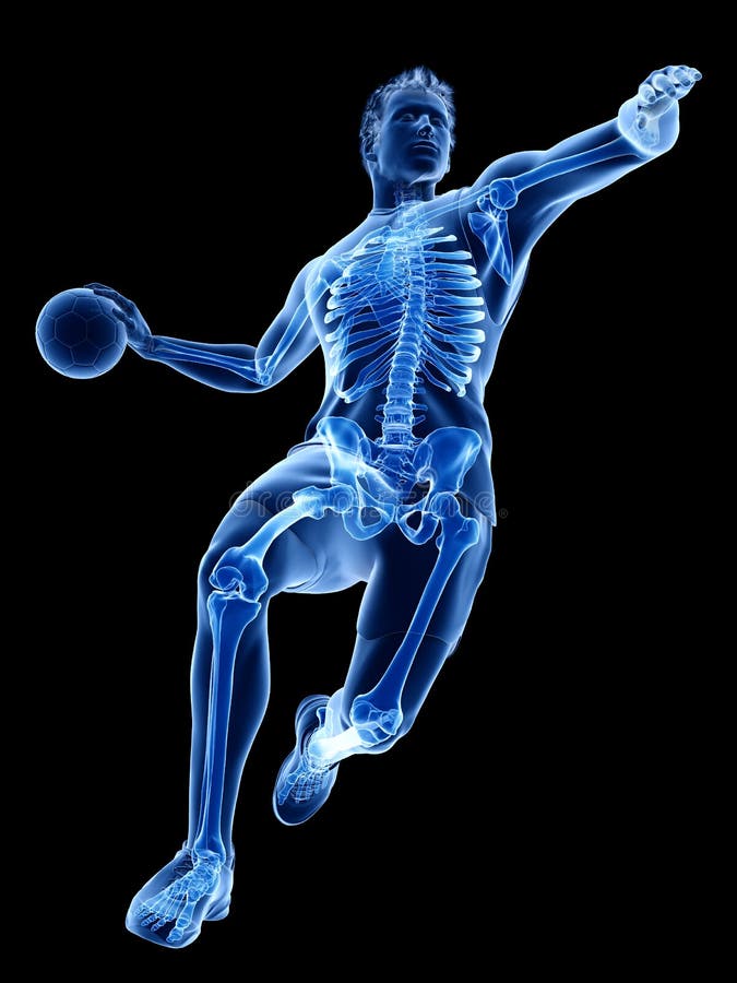 The Skeleton of a Handball Player Stock Illustration - Illustration of ...