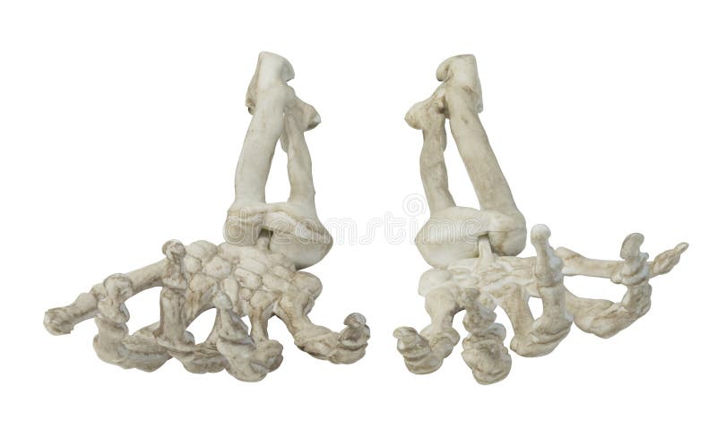 Skeleton Hands Reaching Toward You Stock Photo - Image of bones ...