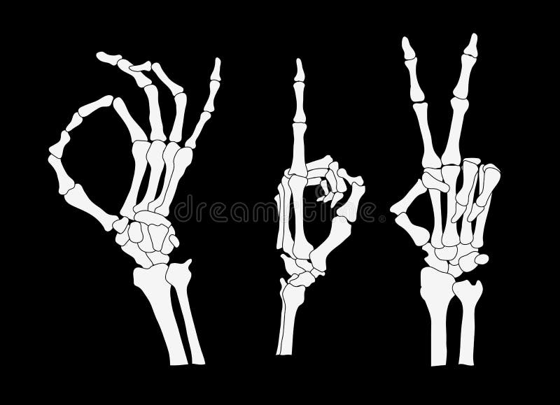 Asl Bone