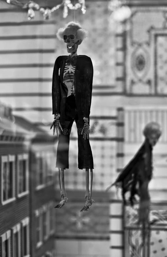 Skeleton hanging stock photo. Image of white, facial - 27682844