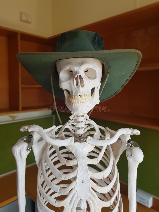 Skeleton in hat stock photo. Image of skull, grin, bones - 112459584